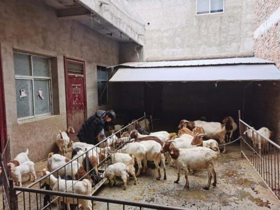 养羊场图片图标