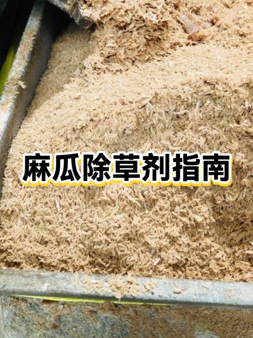 麻瓜是什么意思图标