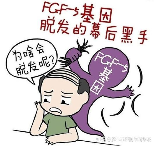 20多岁掉头发严重怎么办图标