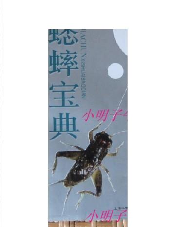 蛐蛐品种大全