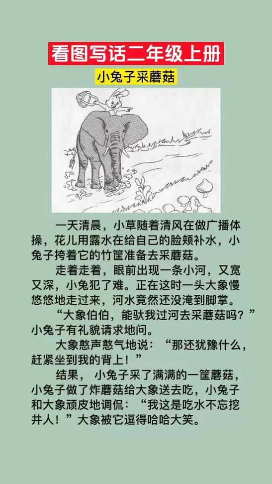 大象救兔子设计意图图标