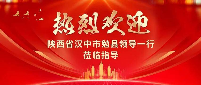 汉中市勉县幸福集团公司图标