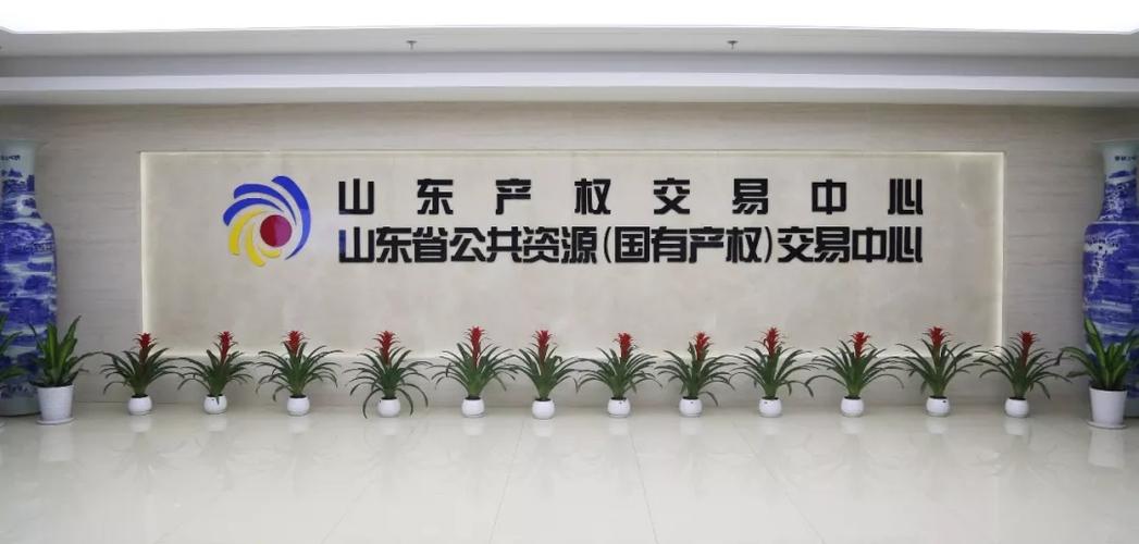 山东产权交易中心网站图标