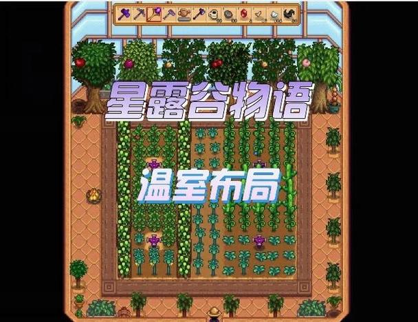 星露谷给潘姆造房子能得到房车吗图标
