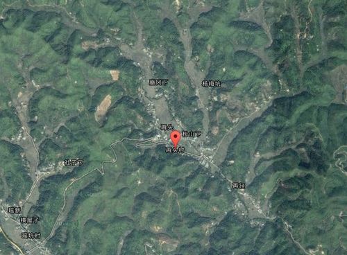 卫星地图高清村庄地图看到人实时下载截图