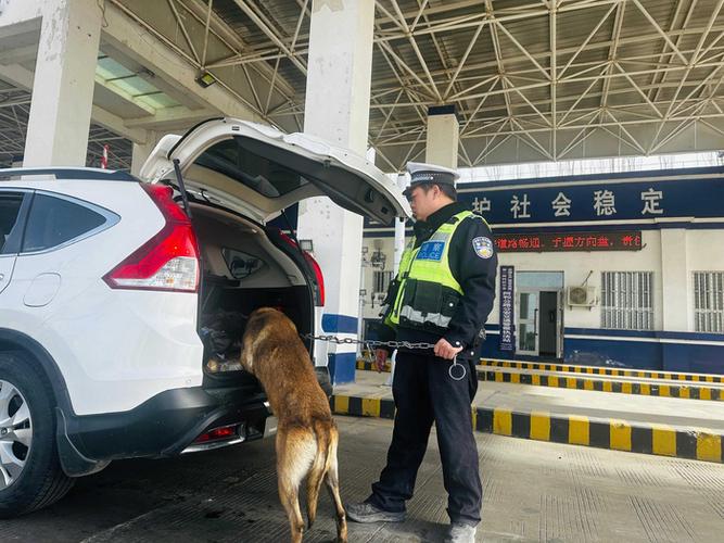 警犬死了什么待遇图标