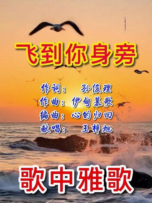 歌中雅歌原唱歌曲图标