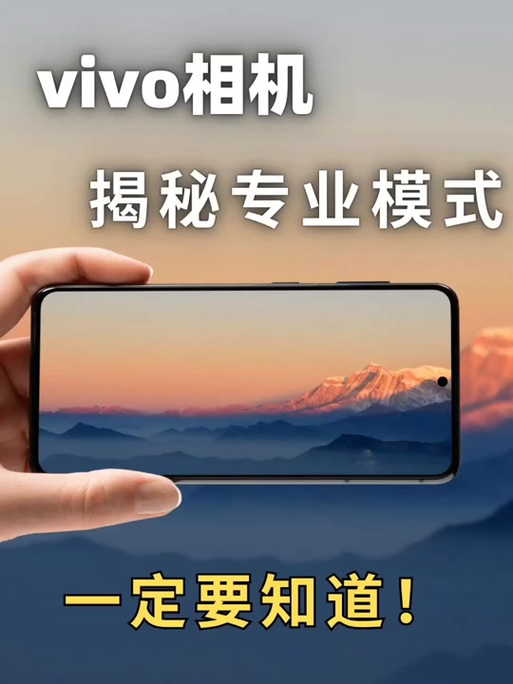 vivo拍星星手机专业模式怎么设置截图