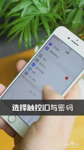 苹果17可以设置手势密码吗图标