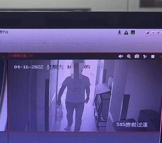 监控画面停留的原因截图