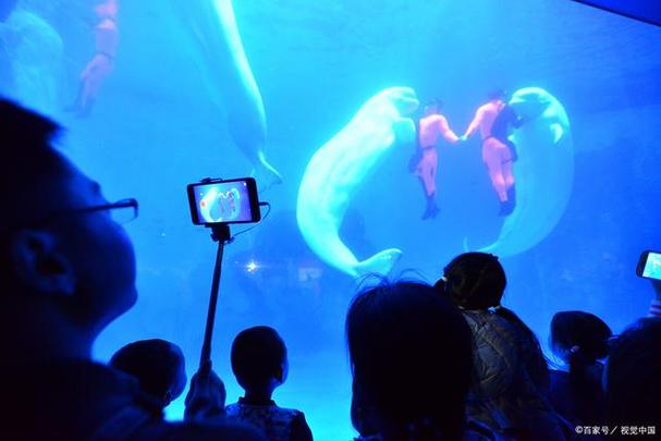 steam深海搁浅怎么设置中文图标