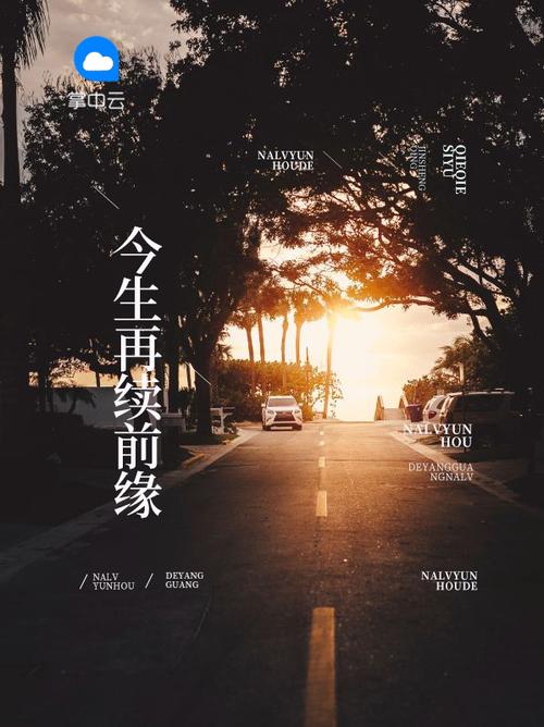 强续前缘 小说