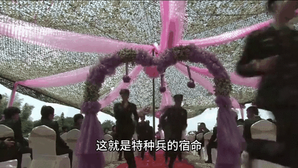 特种兵之火凤凰62集全集图标