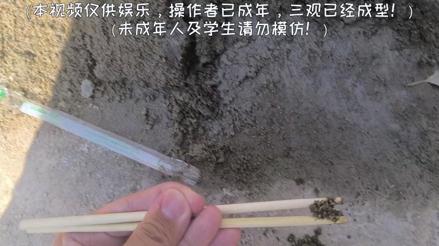 “筷子夹水泥”是脏话吗图标