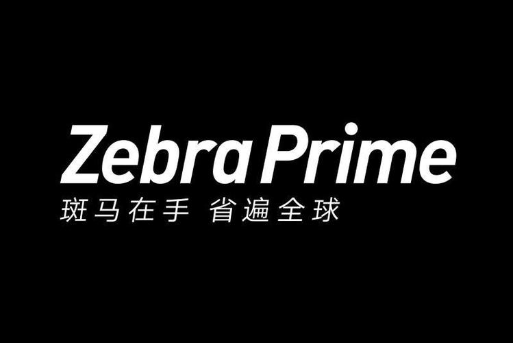斑马会员邀请一个赚多少钱呢截图