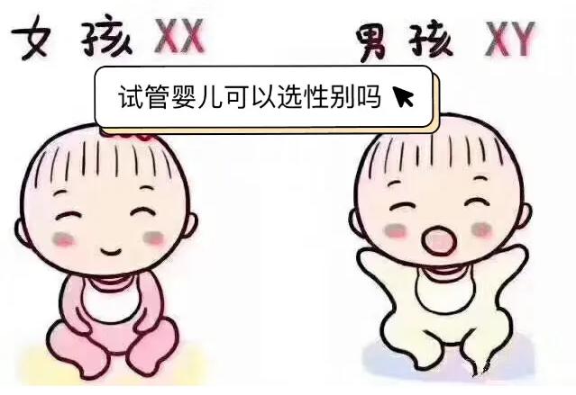 excel表格选择男女图标
