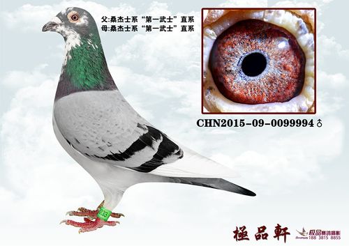 桑杰士最简单鉴定方法截图