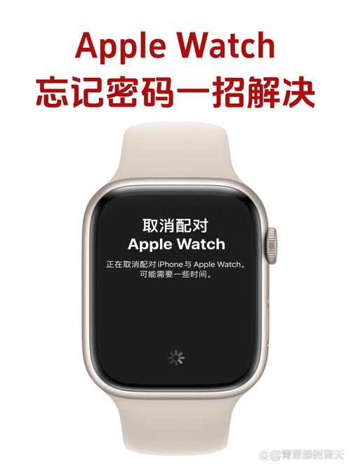 苹果手表忘记密码了怎么解开图标