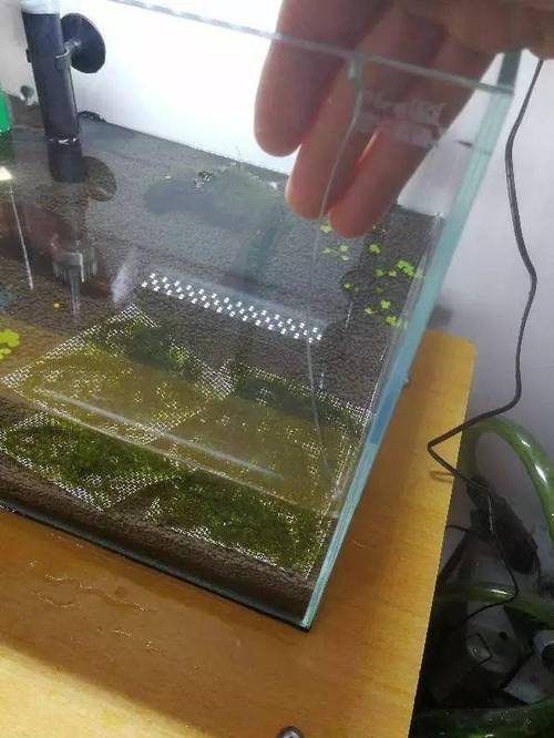 鱼缸可以扔掉么图标