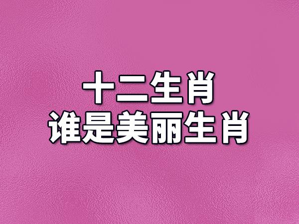 十二生肖谁是才子佳人图标