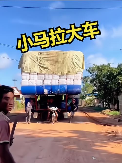 幼儿小马拉大車父女视频图标