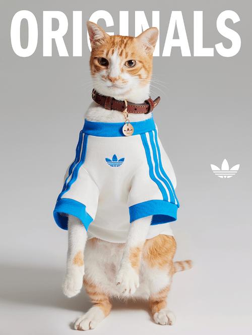 猫猫品牌的衣服截图