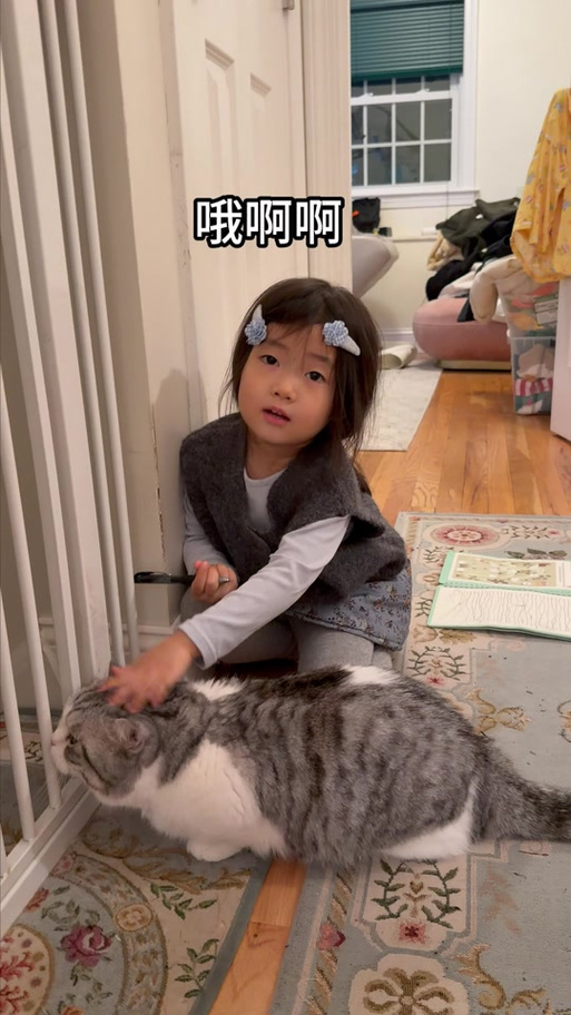 猫嫌弃人类幼崽图标