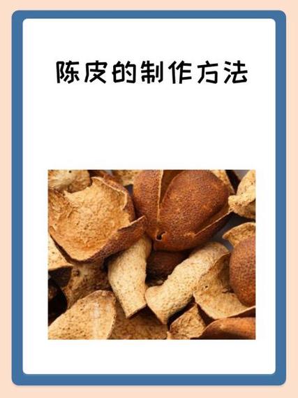 砂糖橘子皮能做陈皮吗图标