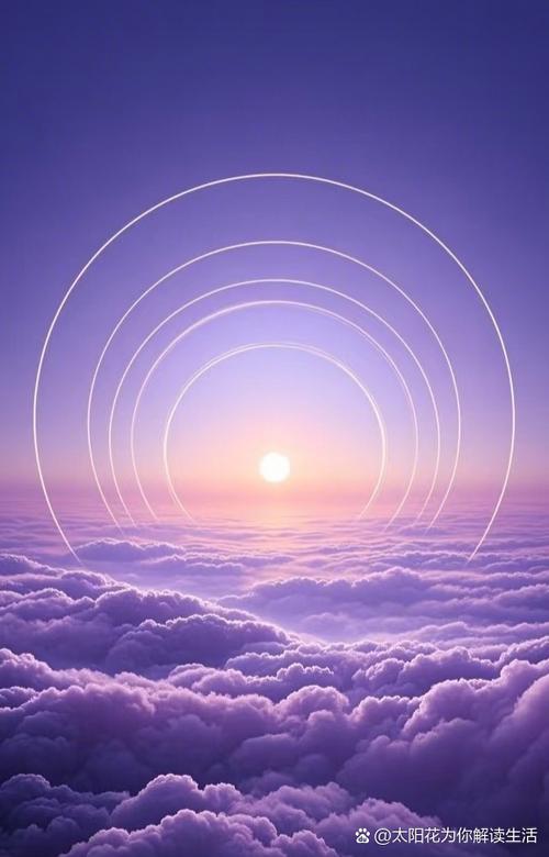 纯紫色屏保壁纸图片图标