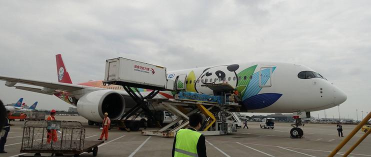 我的世界四川航空飞机图标