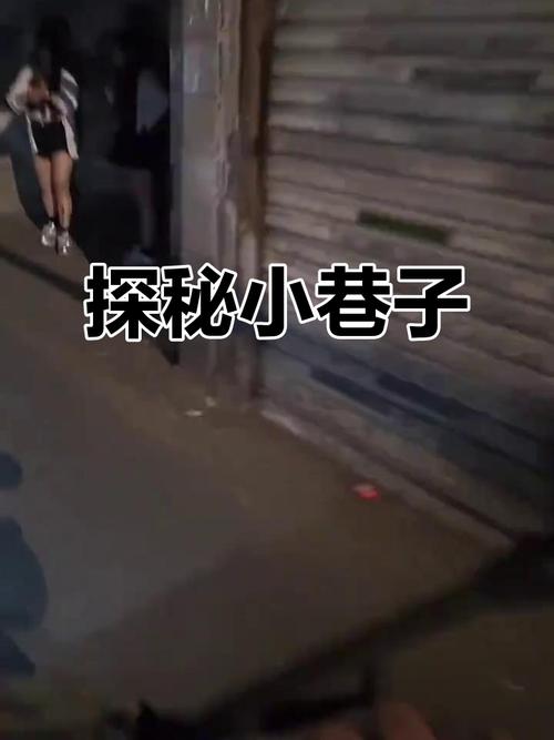 巷子里的秘密114安卓攻略图标