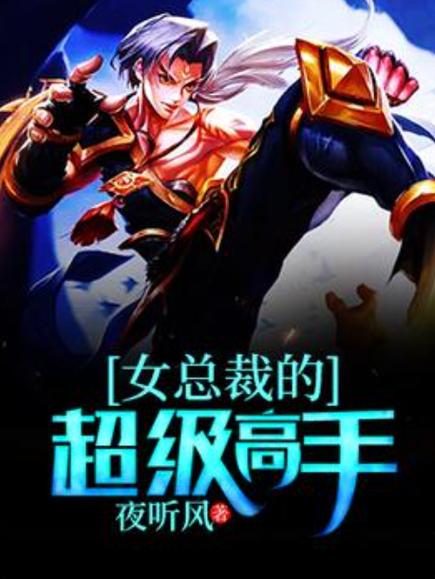 女总裁超级高手下载图标