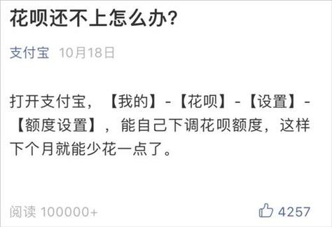 花呗灰色怎么解除截图