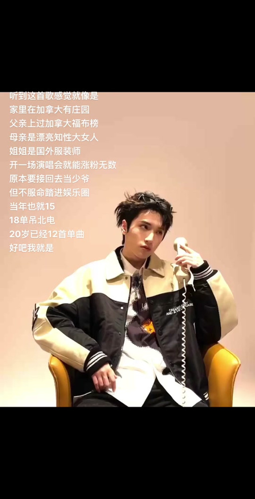 严浩翔家公司加拿大叫什么图标