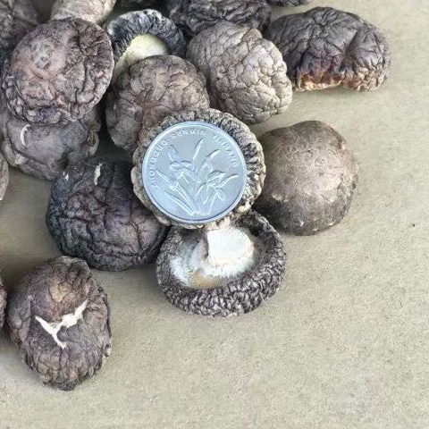 金钱菇和珍珠菇的区别