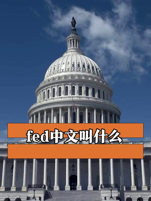 Fed的中文是什么截图