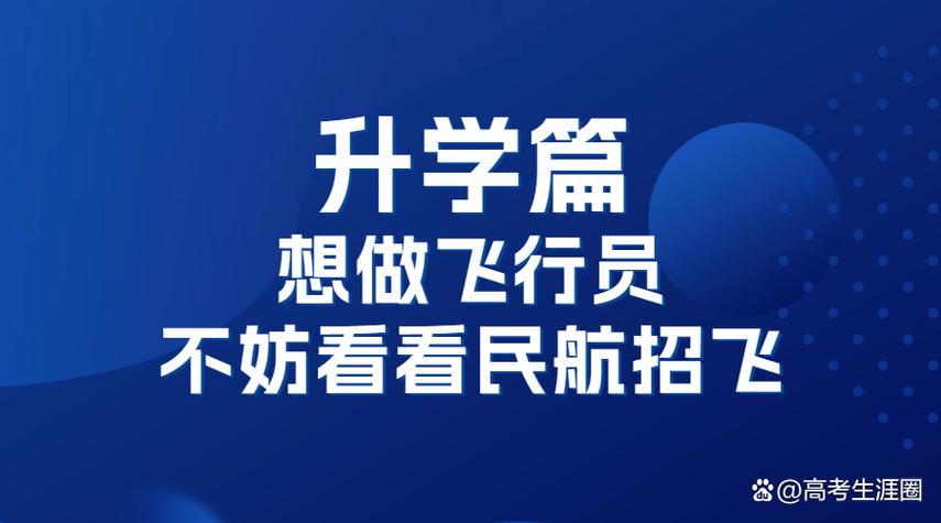 民航招飞APP图标