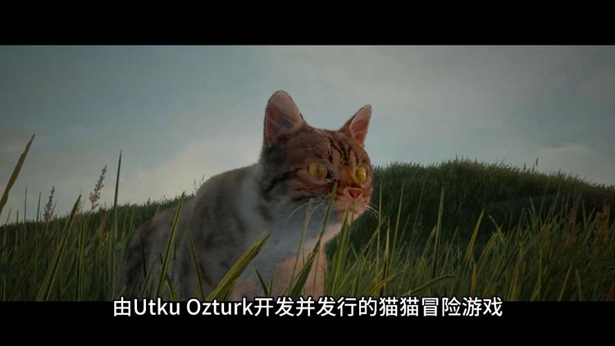 last life怎么玩截图