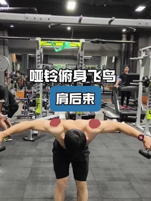为什么哑铃飞鸟都不建议截图