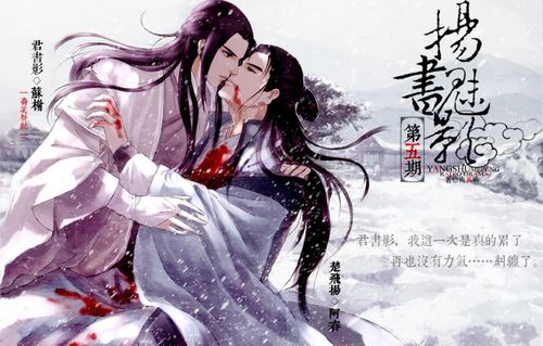 扬书魅影 百度网盘图标