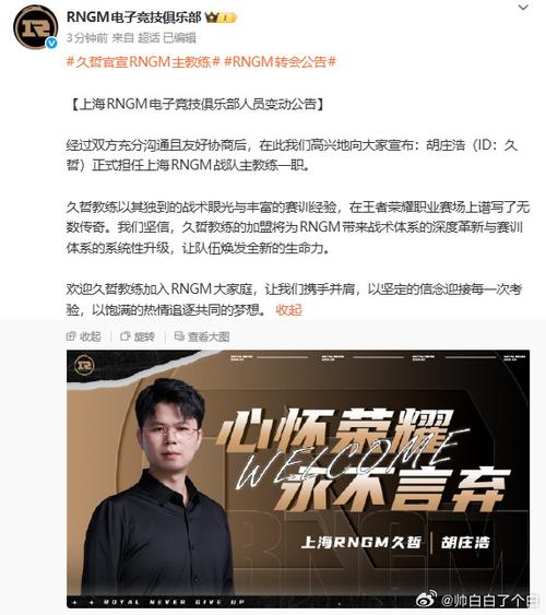 王者荣耀rngm战队微博图标