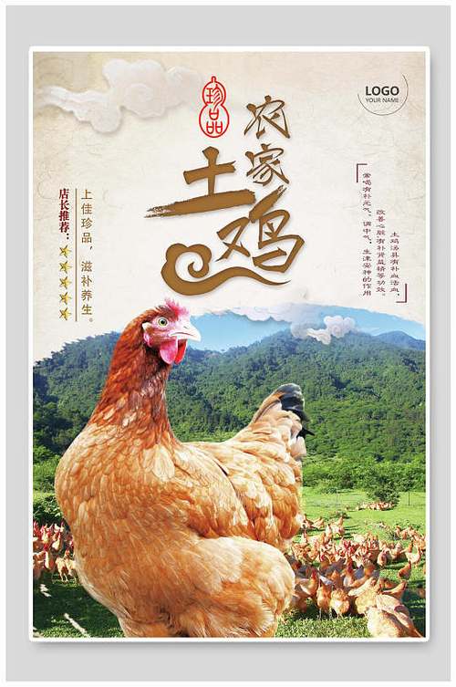生态土鸡介绍 广告截图