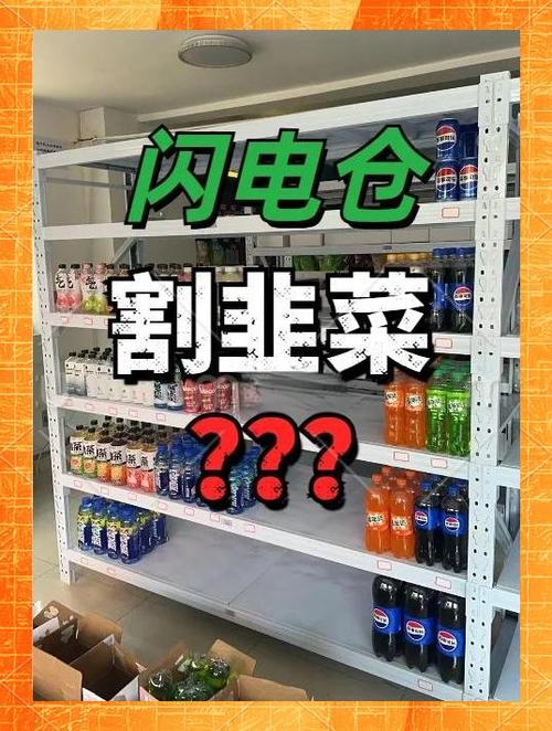 闪电仓店一般人干不了为啥图标