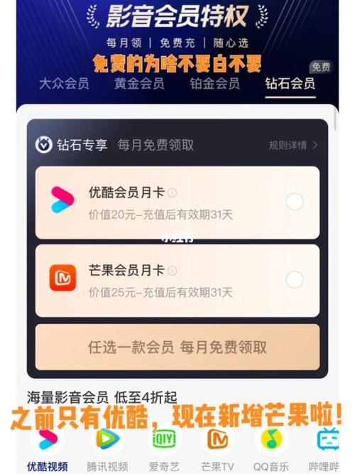 畅视随心选定向流量会员包是干嘛的图标