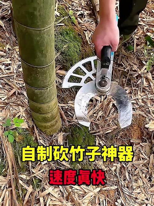 竹子社galgame直装安装包图标