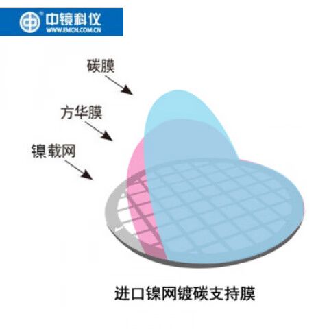 金网截图
