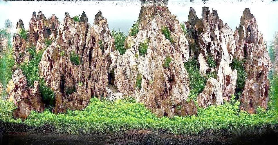 鱼缸假山用什么石头好图标
