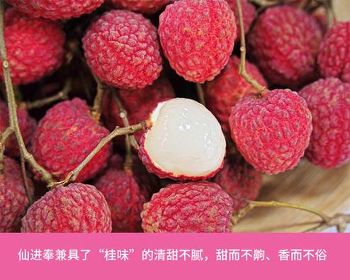 南方优品官网图标