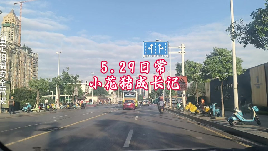 花小猪400666转人工按几号键图标