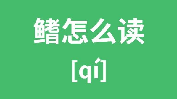 鳍的读音图标
